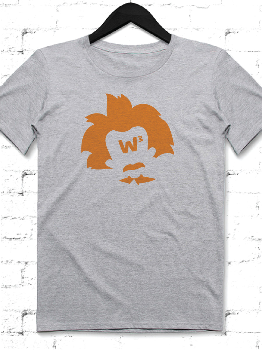 Einstein gray 01 | basmatik.com